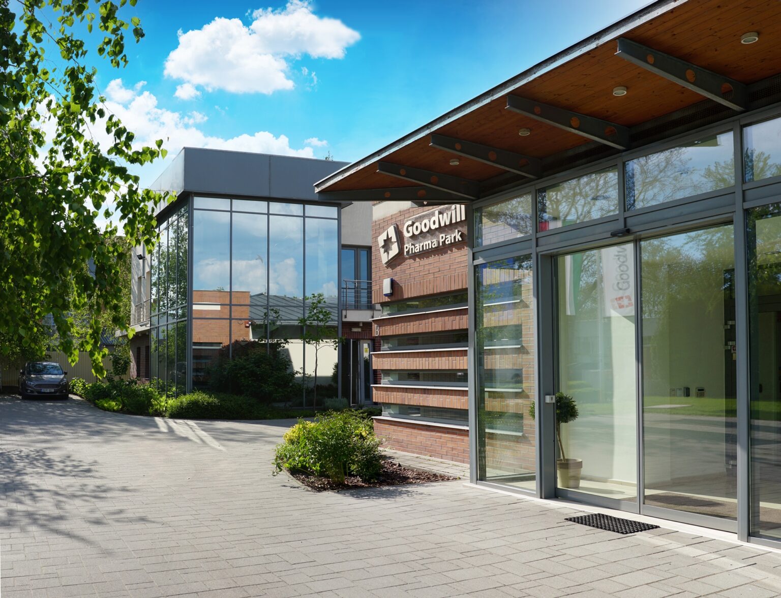 Homepage - Goodwill Pharma